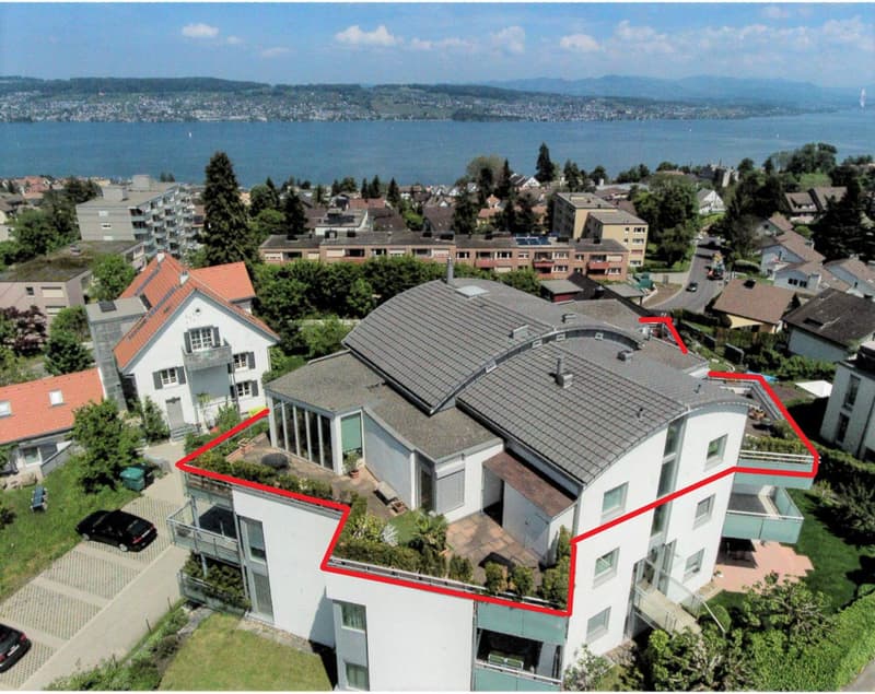 Wohnung & Haus kaufen in Wädenswil | homegate.ch